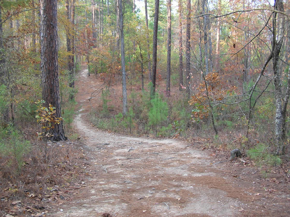 Locations Hub - Harbison State Forest