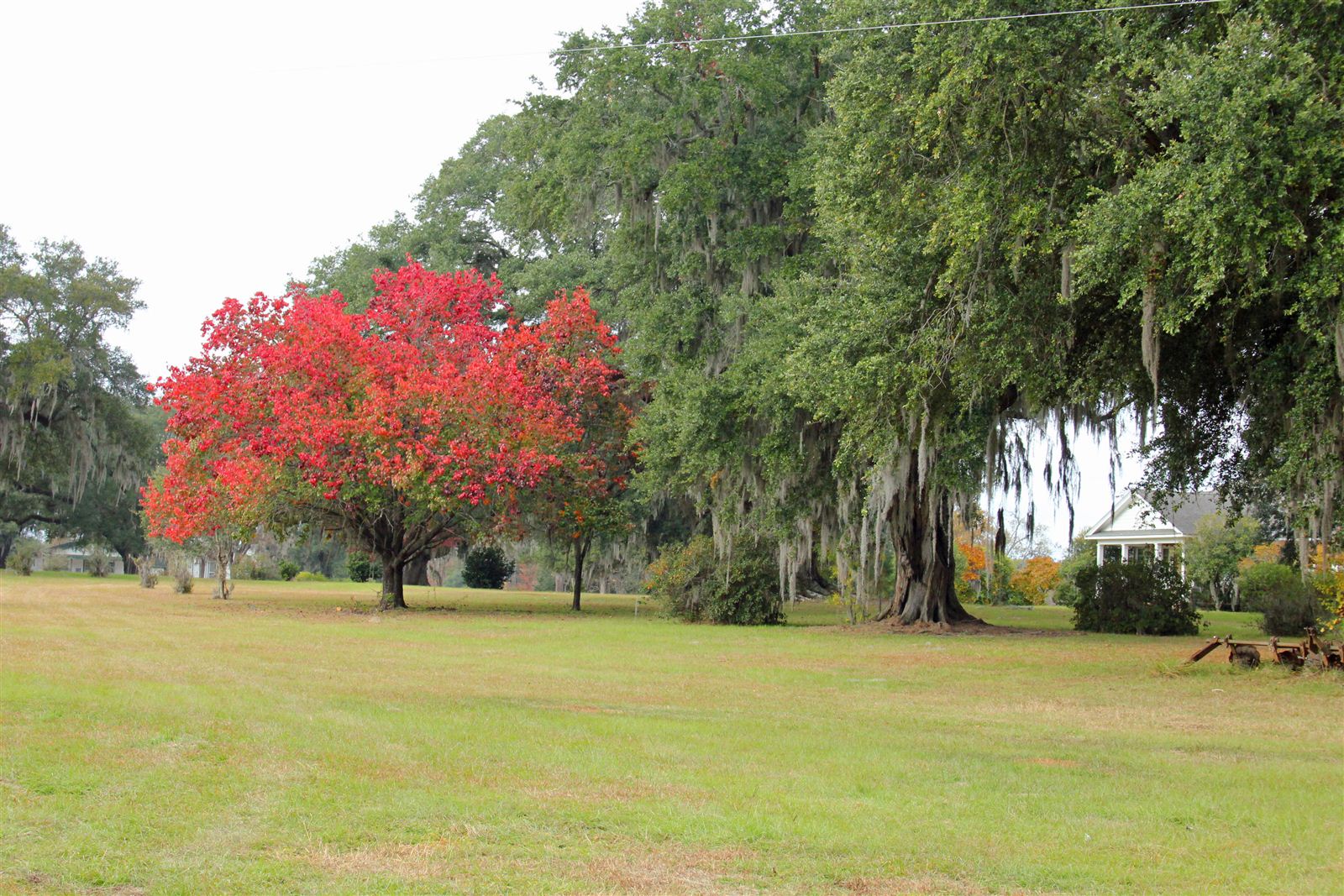 Locations Hub - Wappaoolah Plantation - Farm