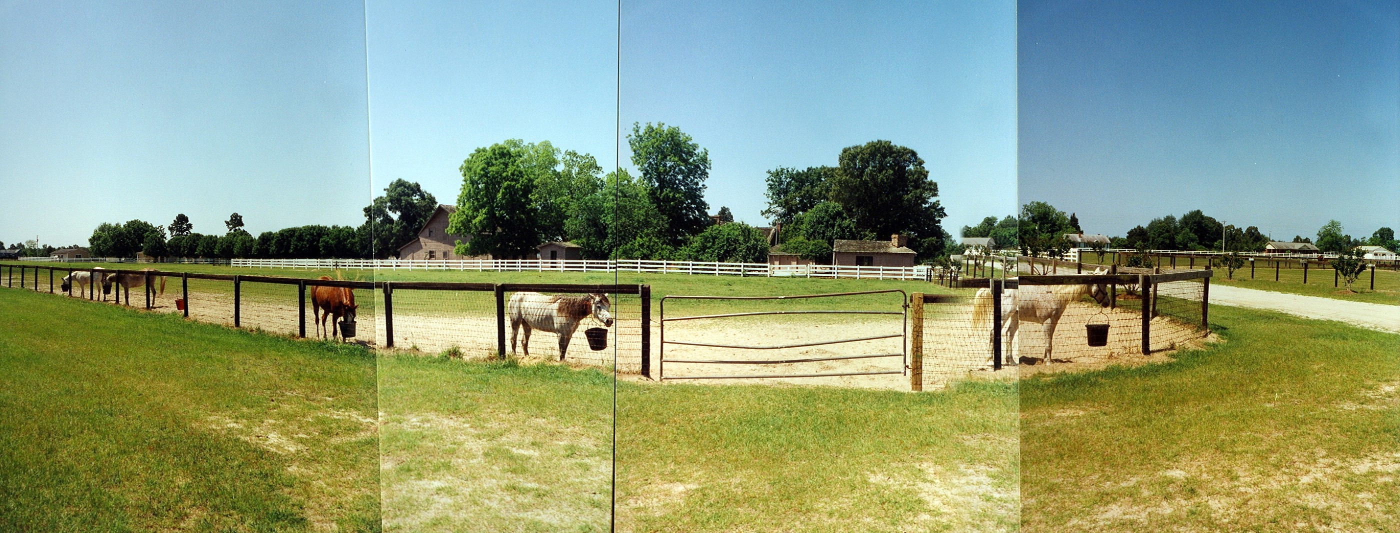 Locations Hub - Whitehaven Plantation - Stables