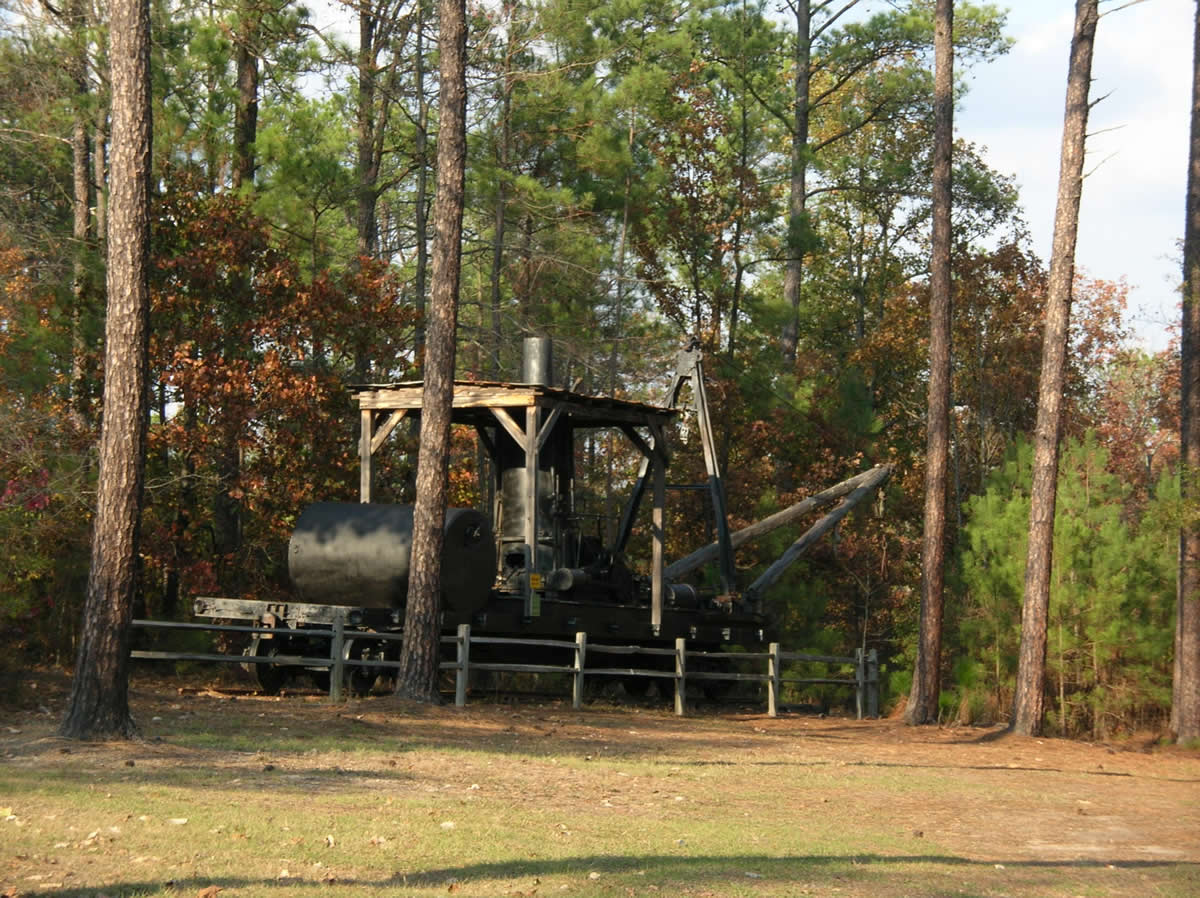 Locations Hub - Harbison State Forest