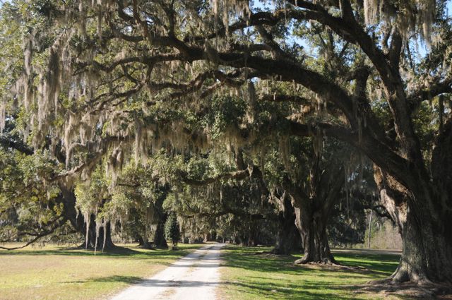 Locations Hub - Harrietta Plantation