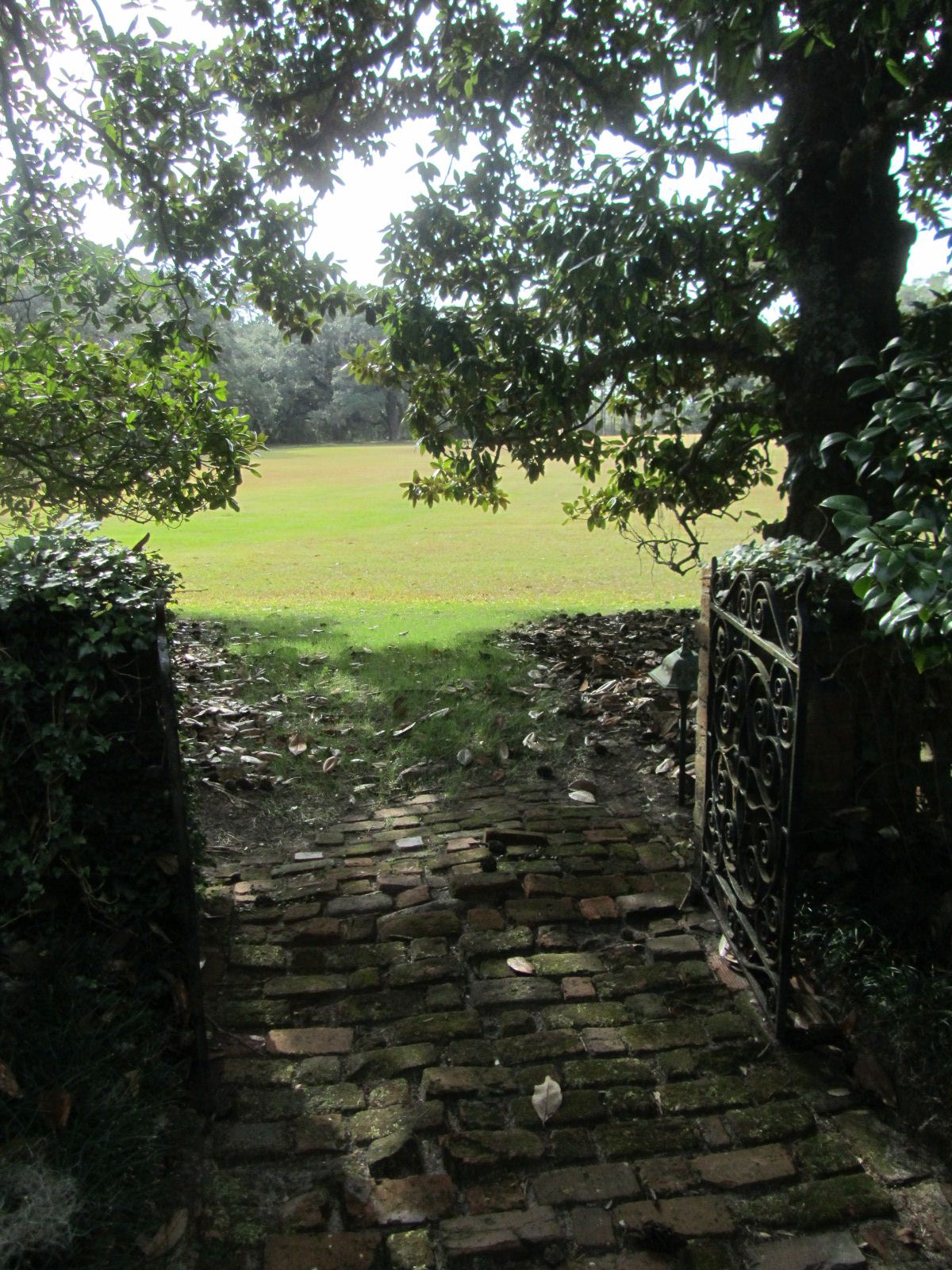 Locations Hub - Friendfield Plantation - Exteriors & near House