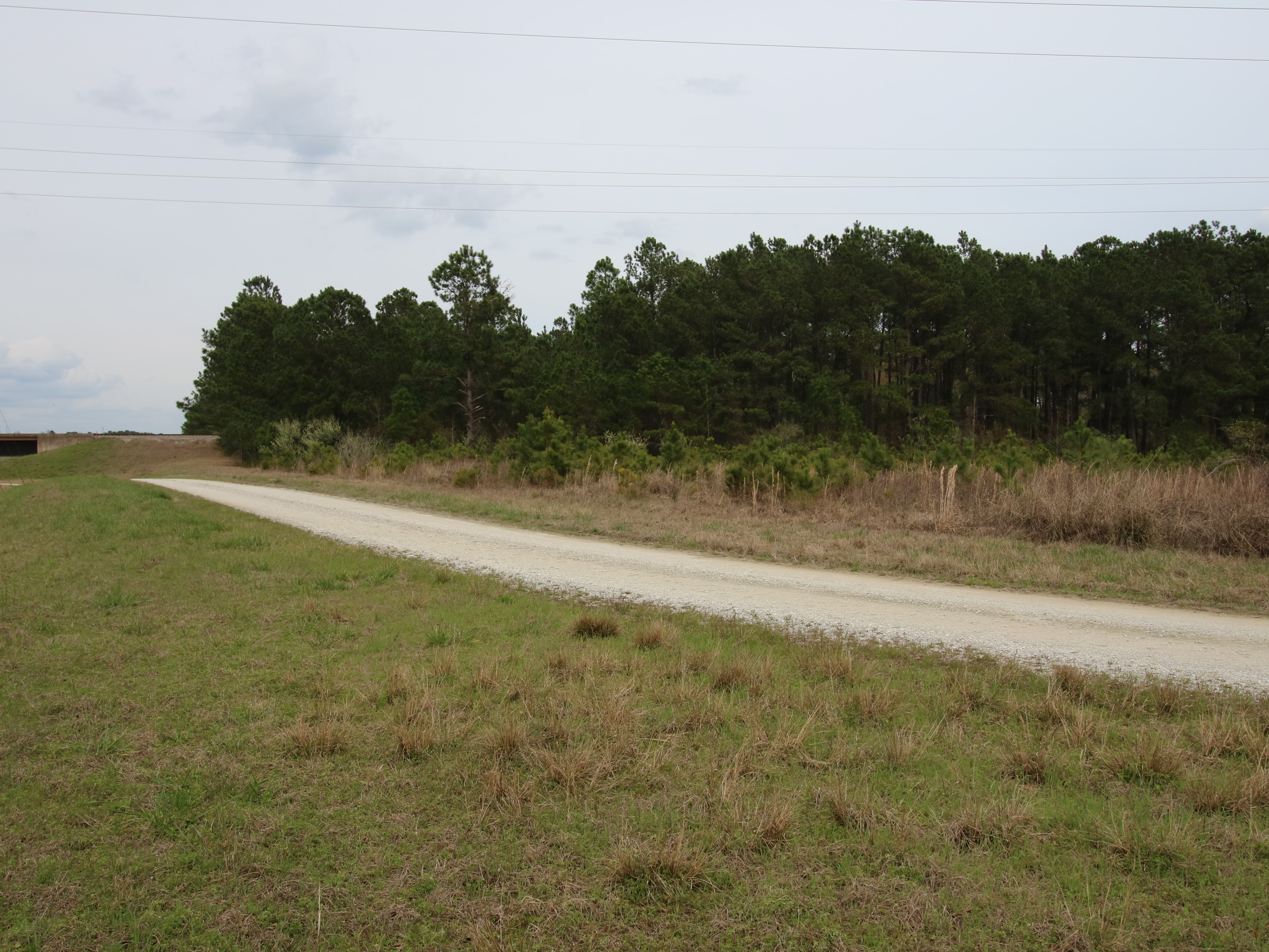 Locations Hub - Santee Cooper - Russellville Landing Dykes