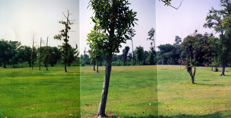 Locations Hub - Dean Hall Plantation