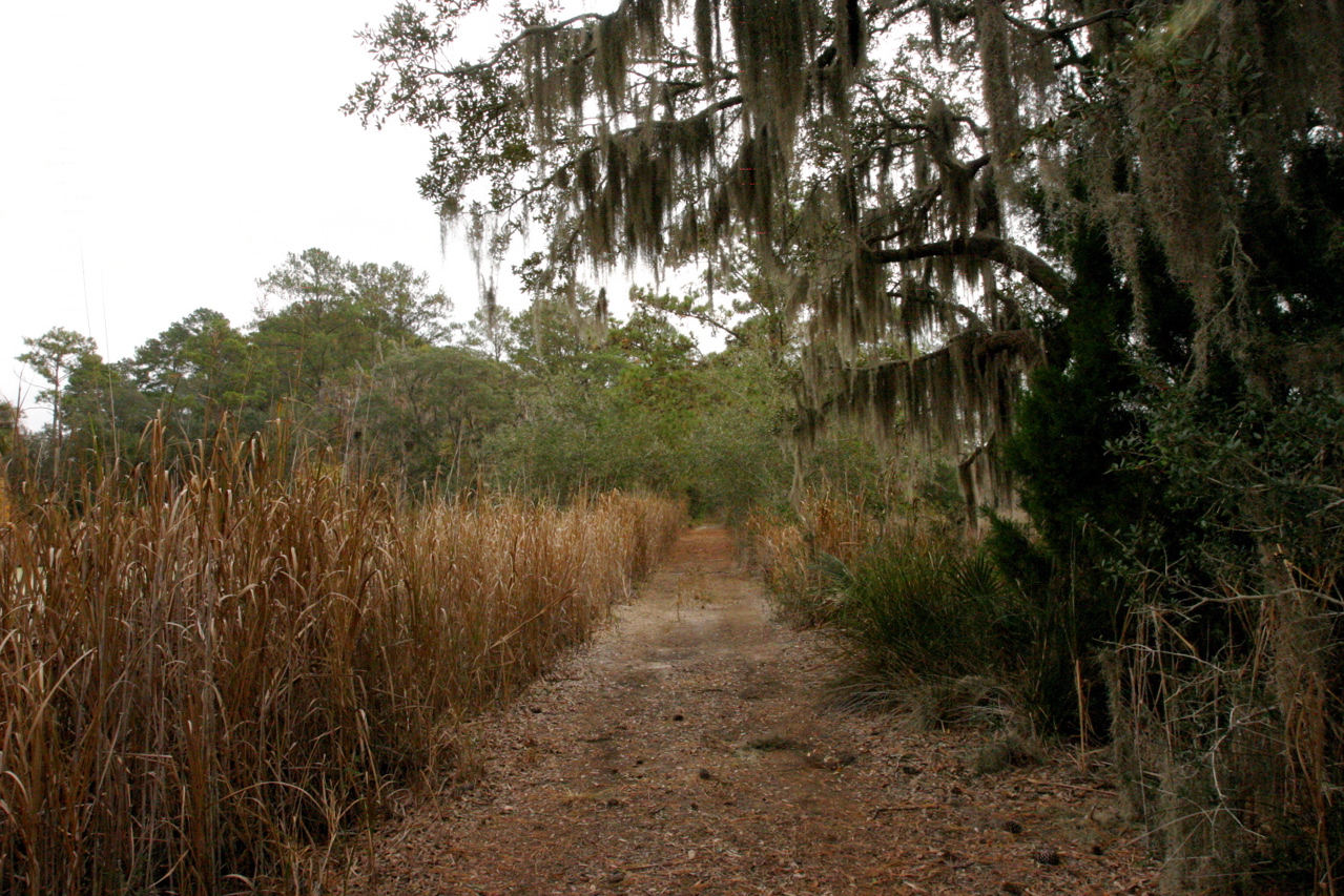 Locations Hub - Slann Island Plantation