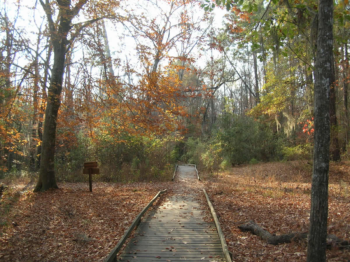 Locations Hub - Congaree Swamp National Monument