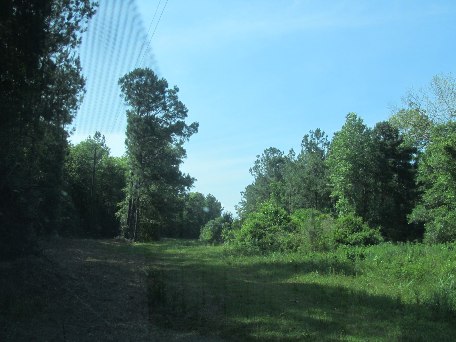 Locations Hub - Awendaw Future Park Site - Clearings