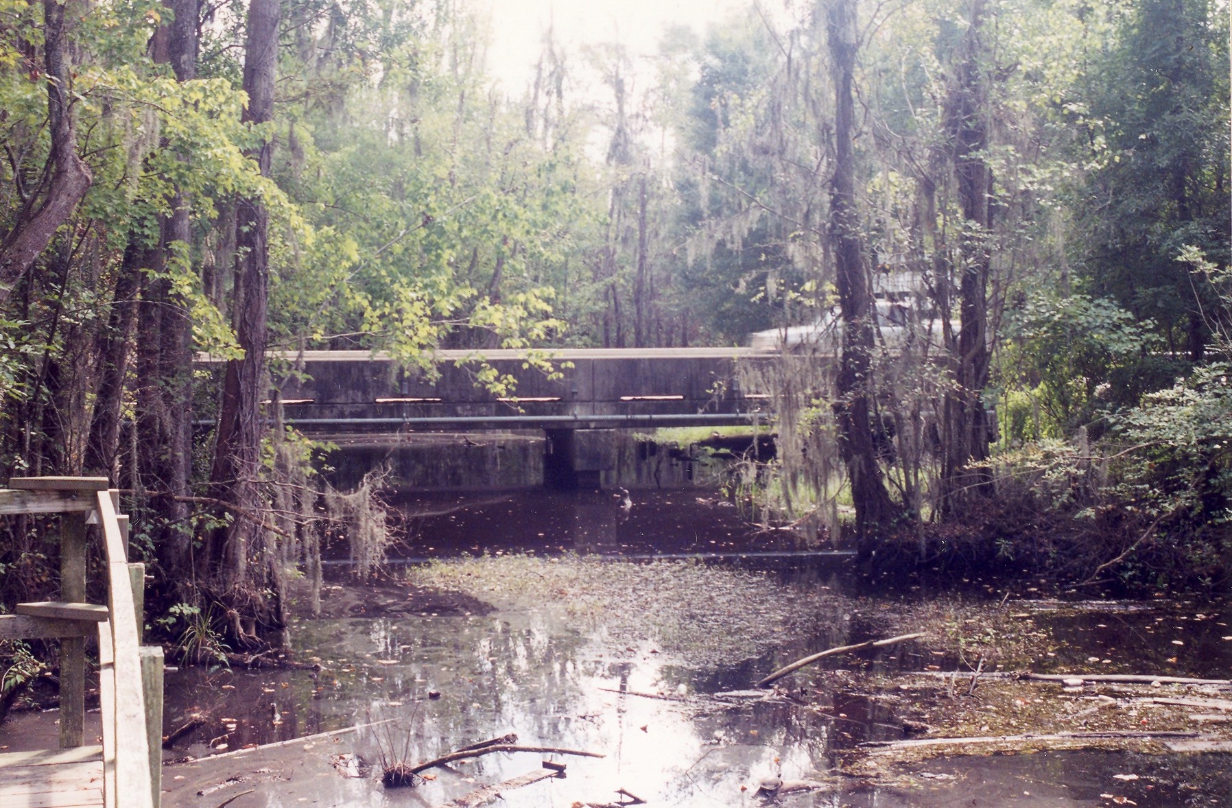 Locations Hub - Pocotaligo Swamp and Nature Walk