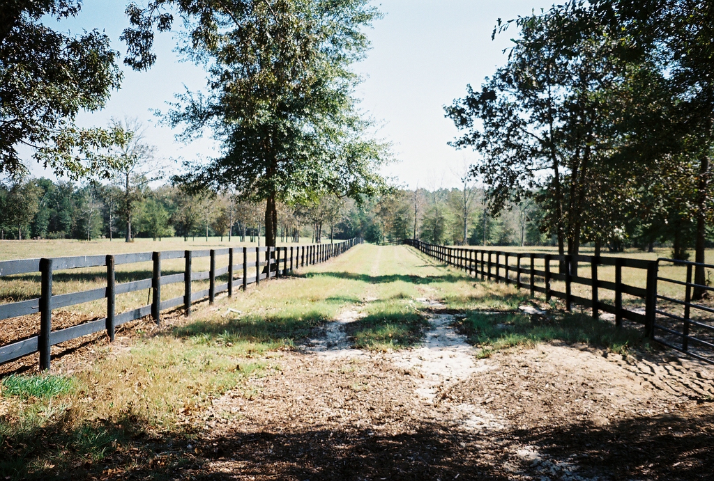 Locations Hub - Black Forest Stables