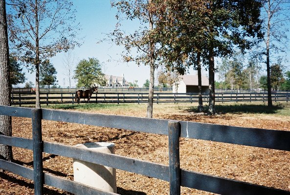 Locations Hub - Black Forest Stables