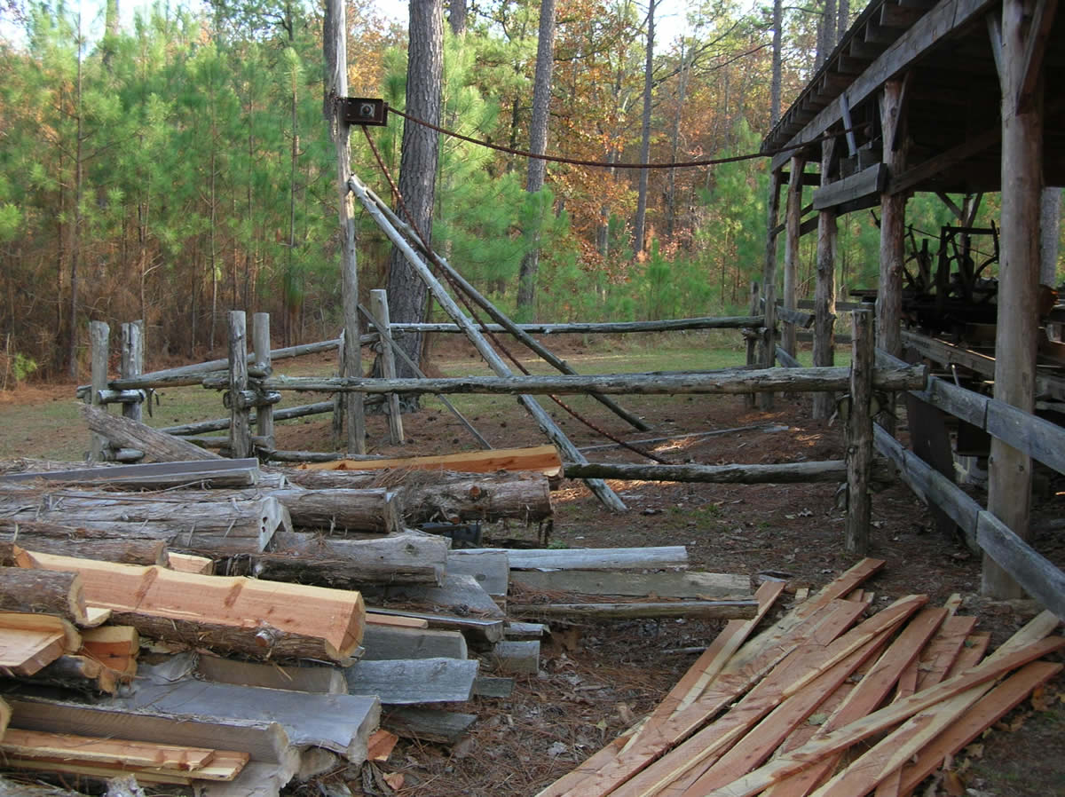 Locations Hub - Harbison State Forest