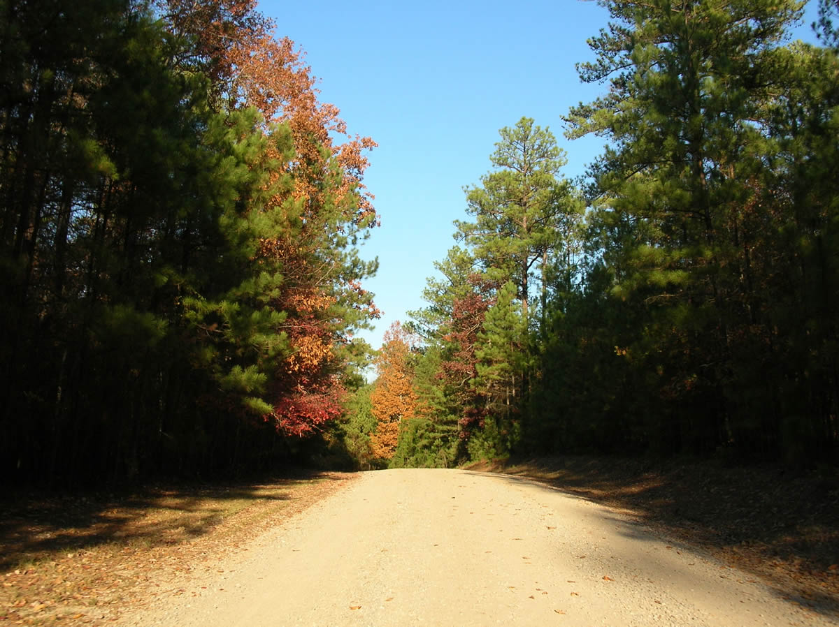 Locations Hub - Harbison State Forest