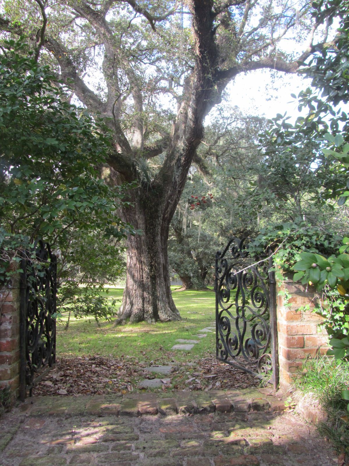 Locations Hub - Friendfield Plantation - Exteriors & near House