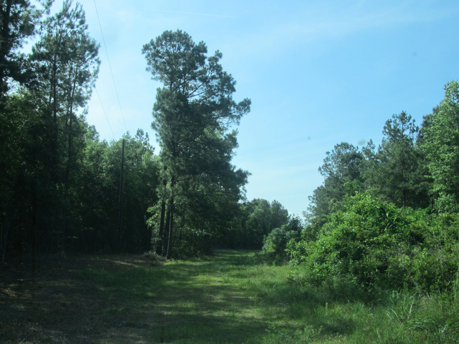 Locations Hub - Awendaw Future Park Site - Clearings
