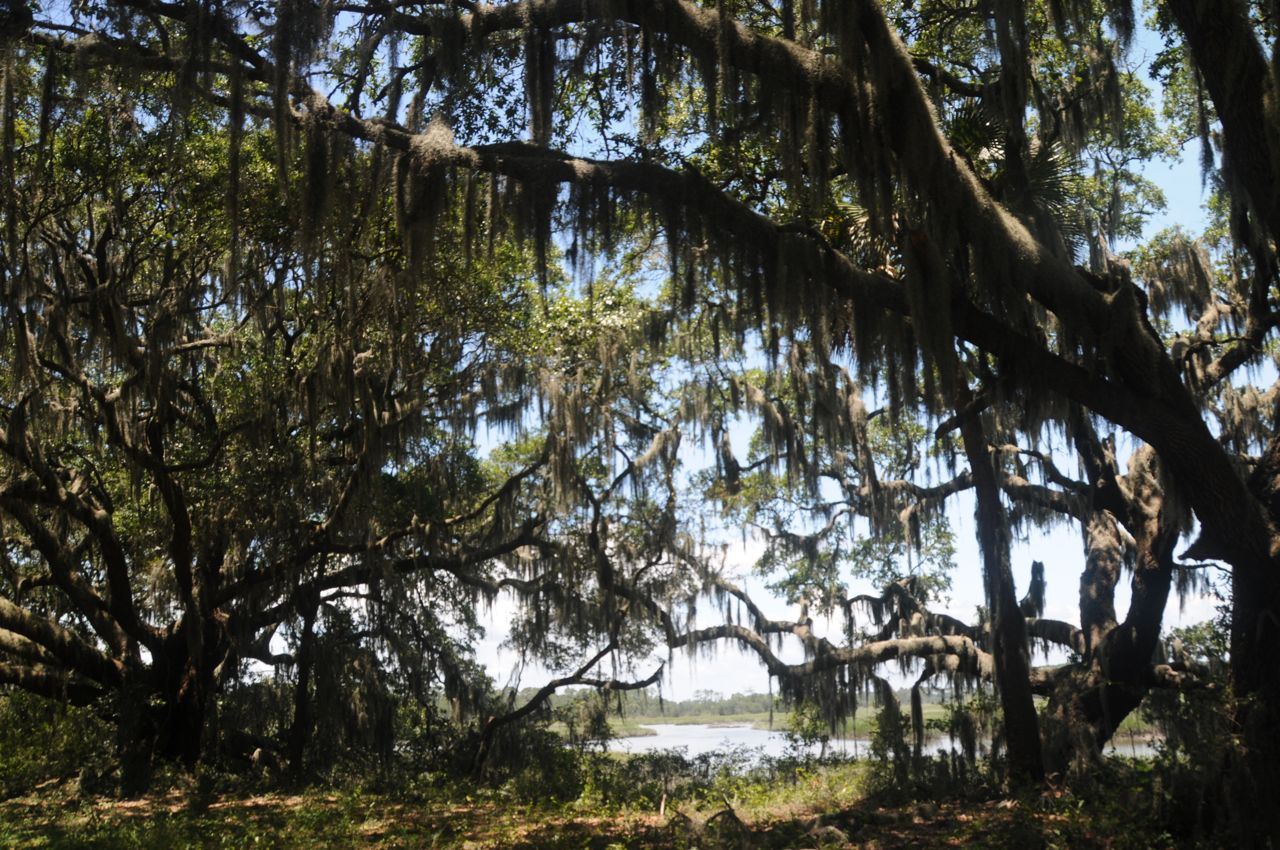 Locations Hub - Botany Bay - Ocella Creek