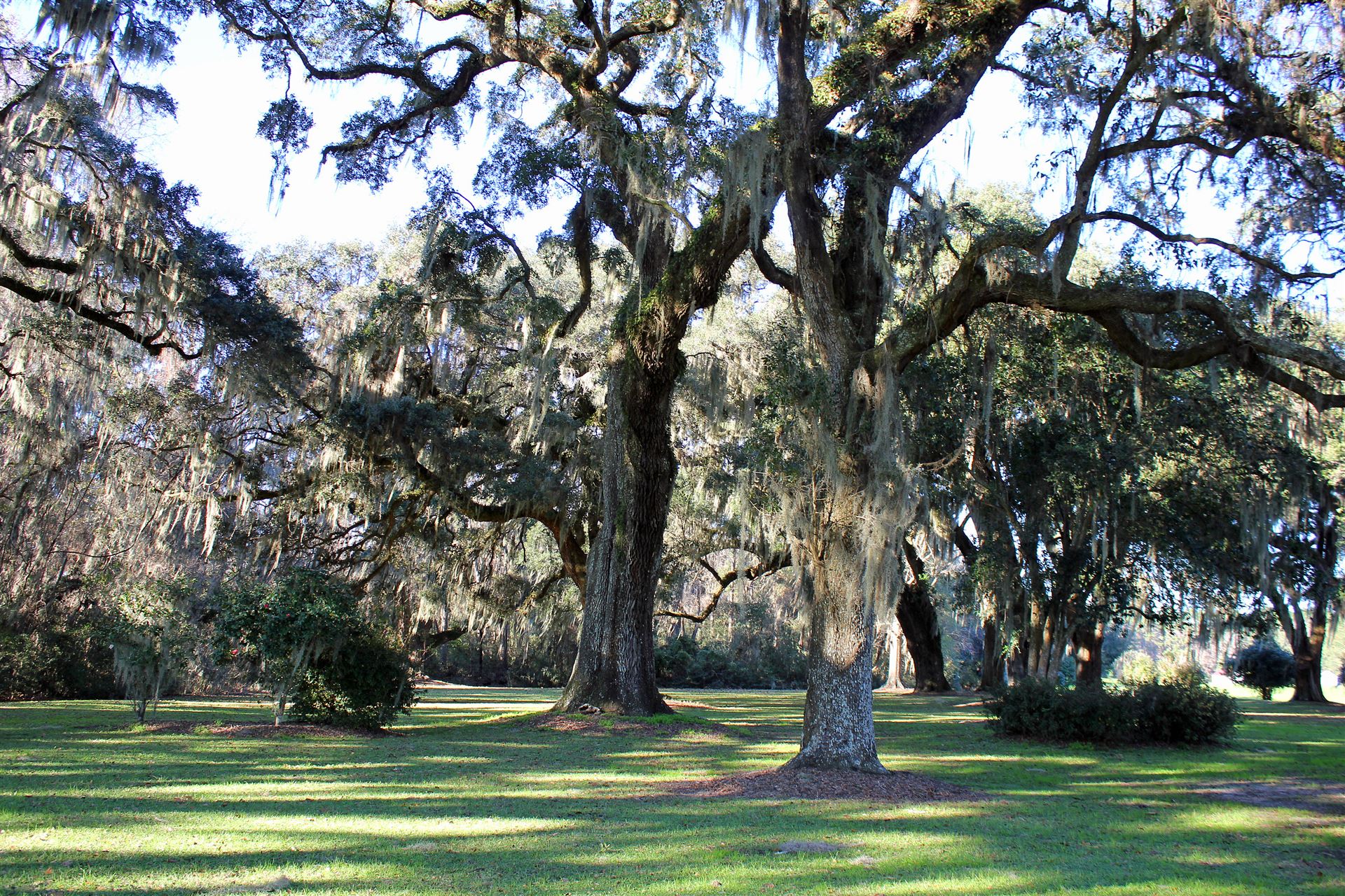 Locations Hub - Laurel Spring Plantation - 2016