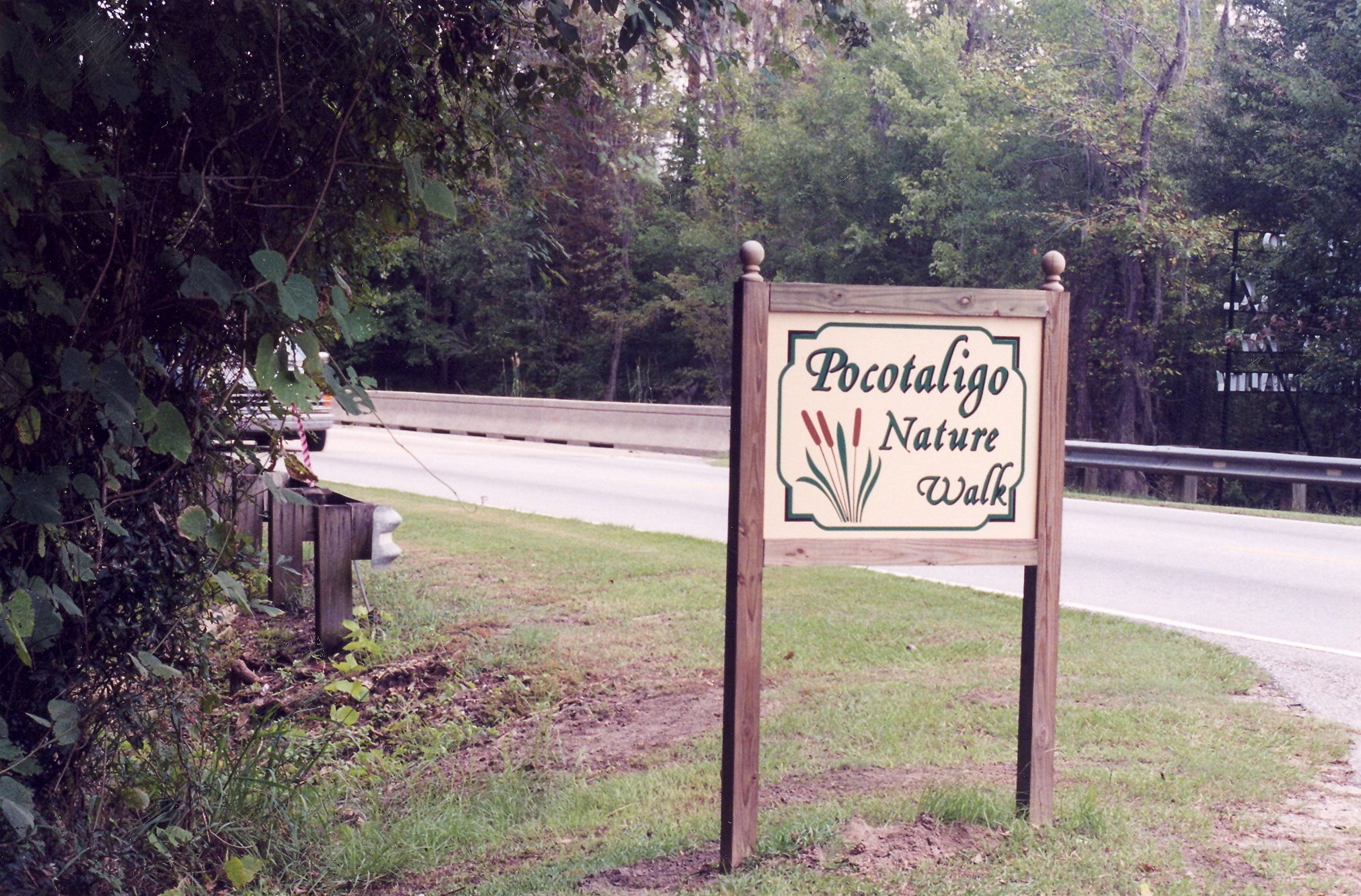 Locations Hub - Pocotaligo Swamp and Nature Walk