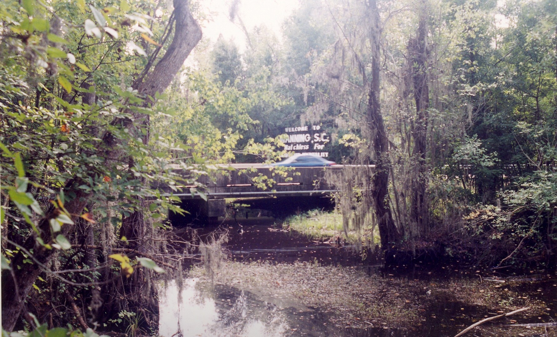 Locations Hub - Pocotaligo Swamp and Nature Walk