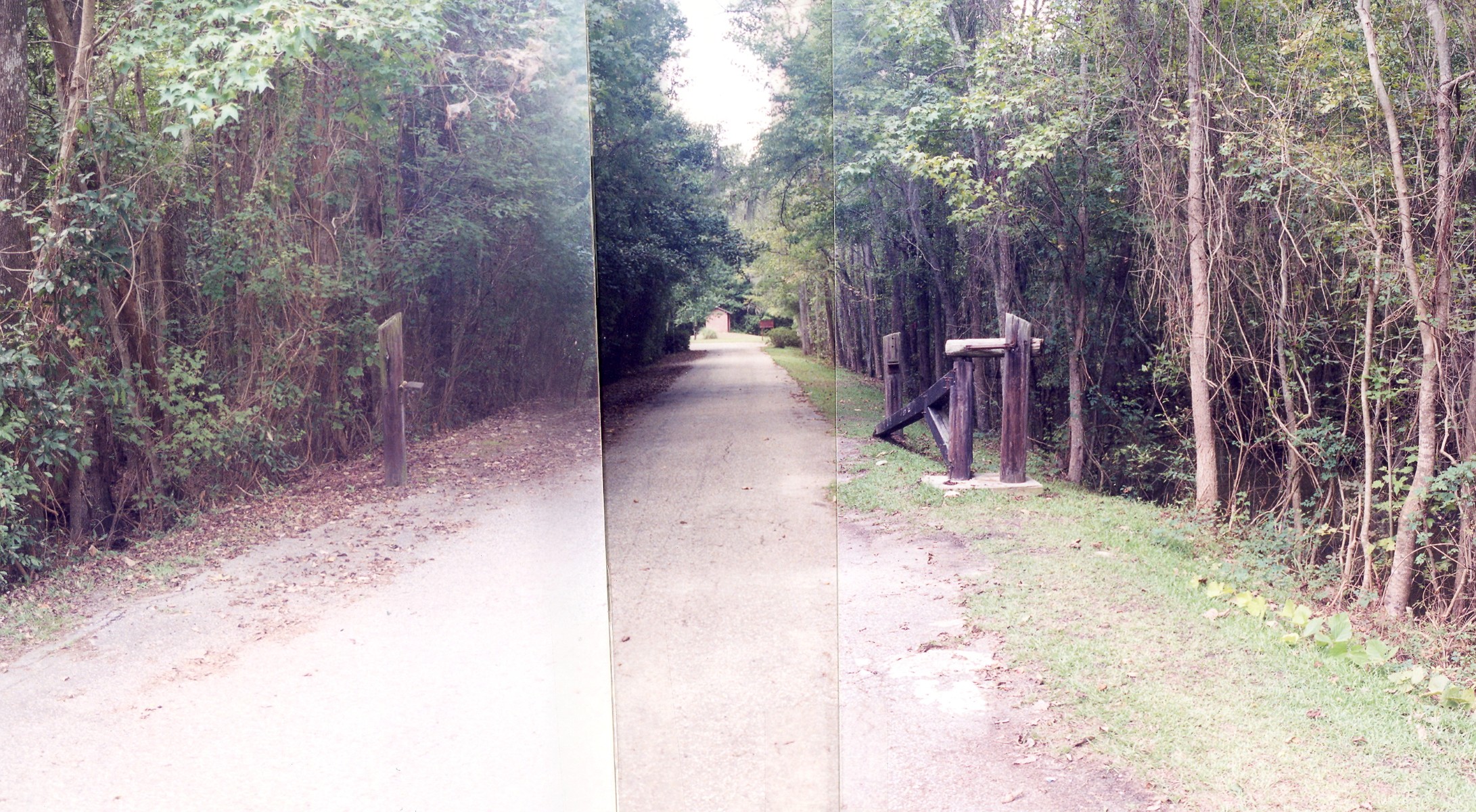 Locations Hub - Pocotaligo Swamp and Nature Walk