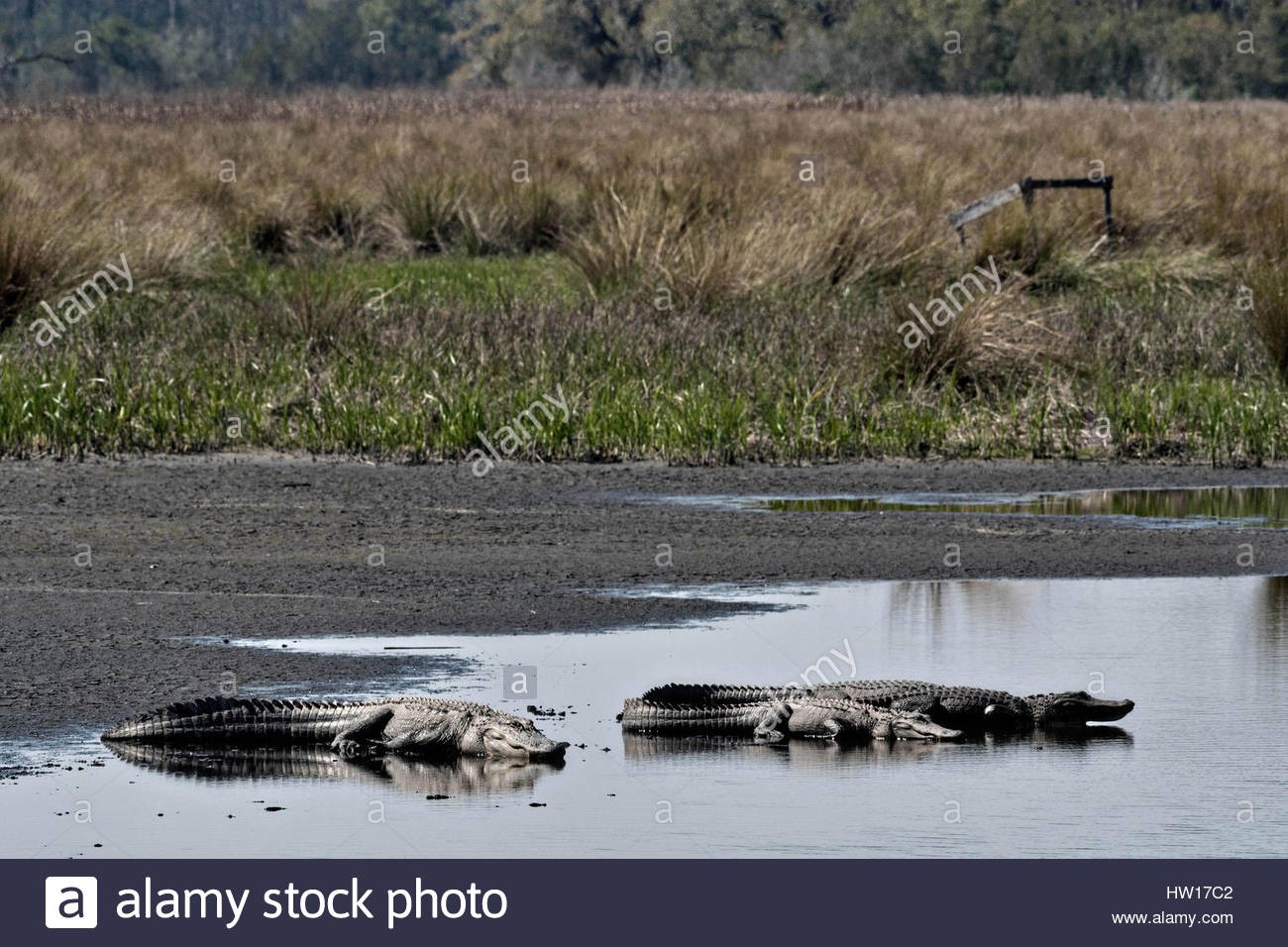 Locations Hub - Donnelley Wildlife Management Area