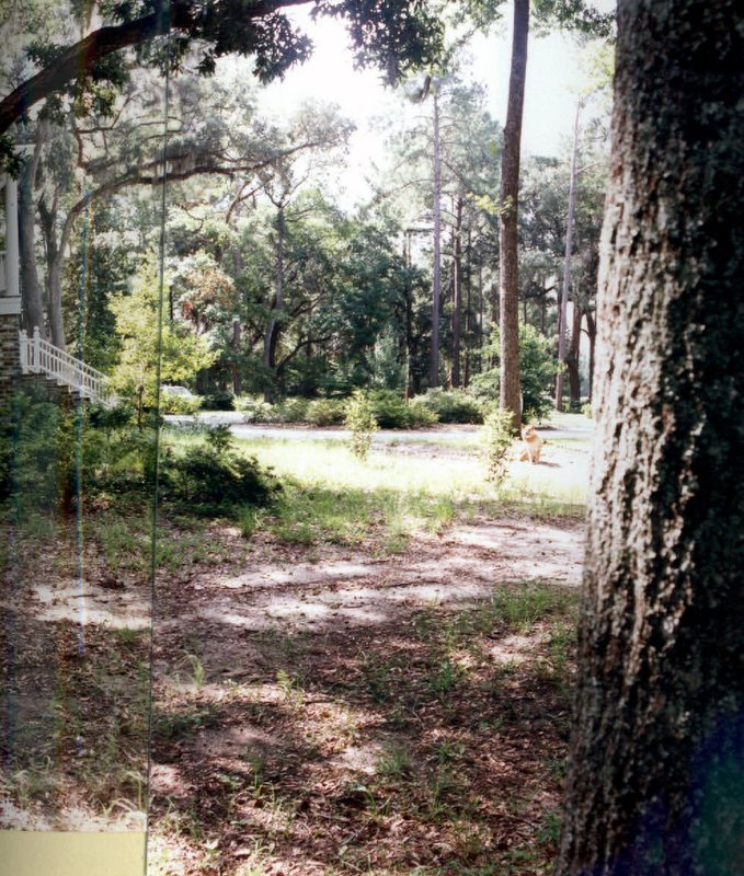 Locations Hub - Dean Hall Plantation
