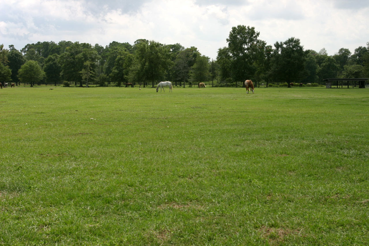 Locations Hub - Rock Smith Farm