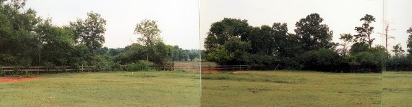 Locations Hub - Singleton Plantation