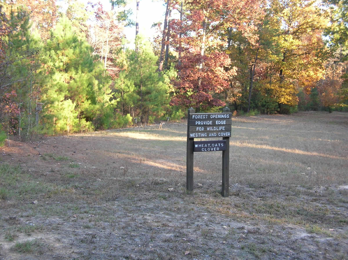 Locations Hub - Harbison State Forest