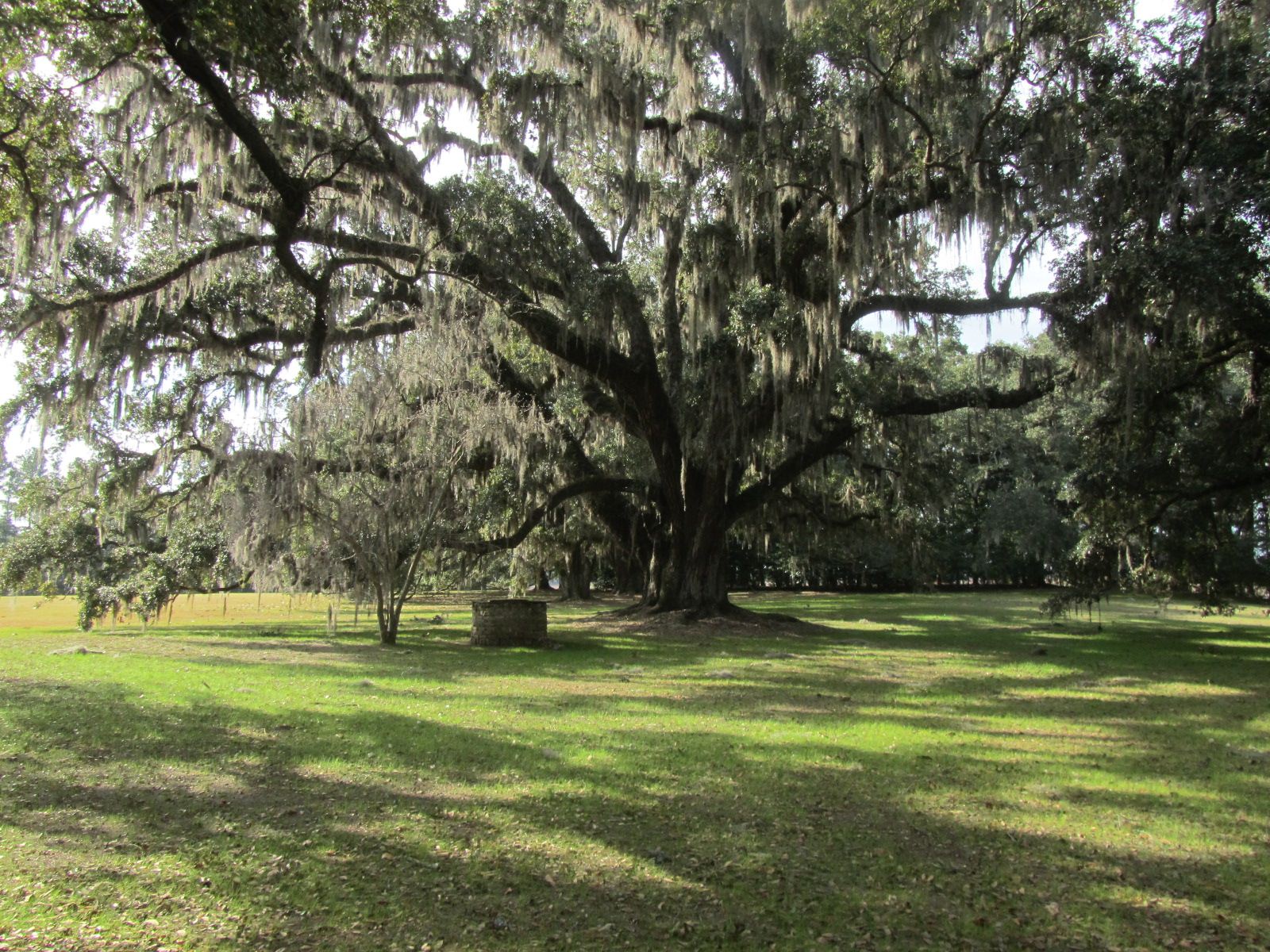 Locations Hub - Friendfield Plantation - Exteriors & near House