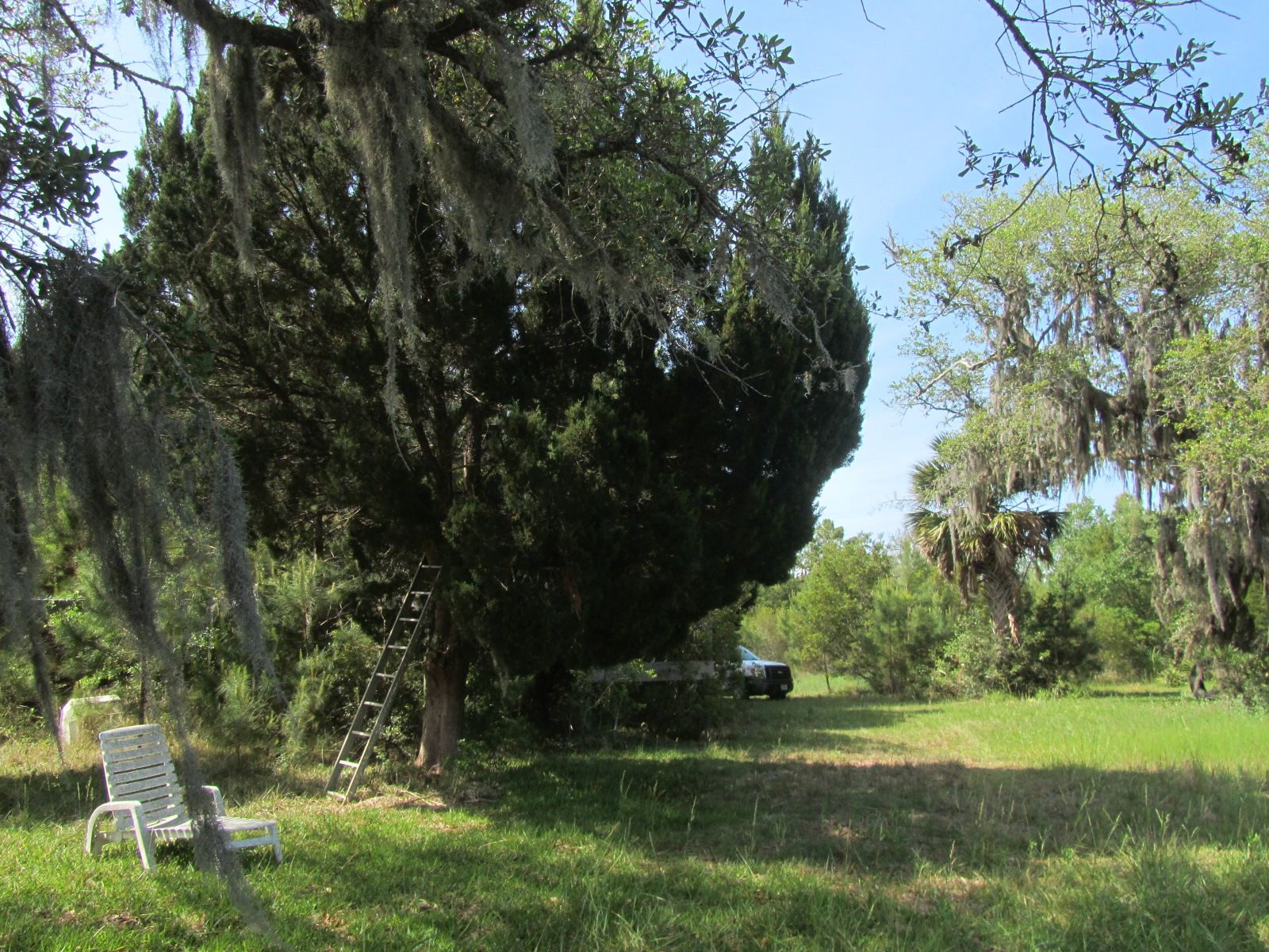 Locations Hub - Awendaw Future Park Site - Clearings