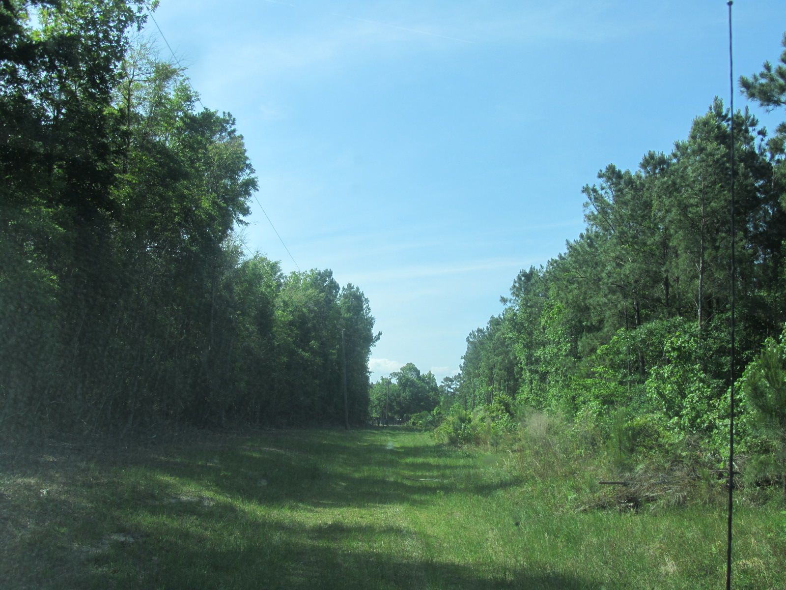 Locations Hub - Awendaw Future Park Site - Clearings