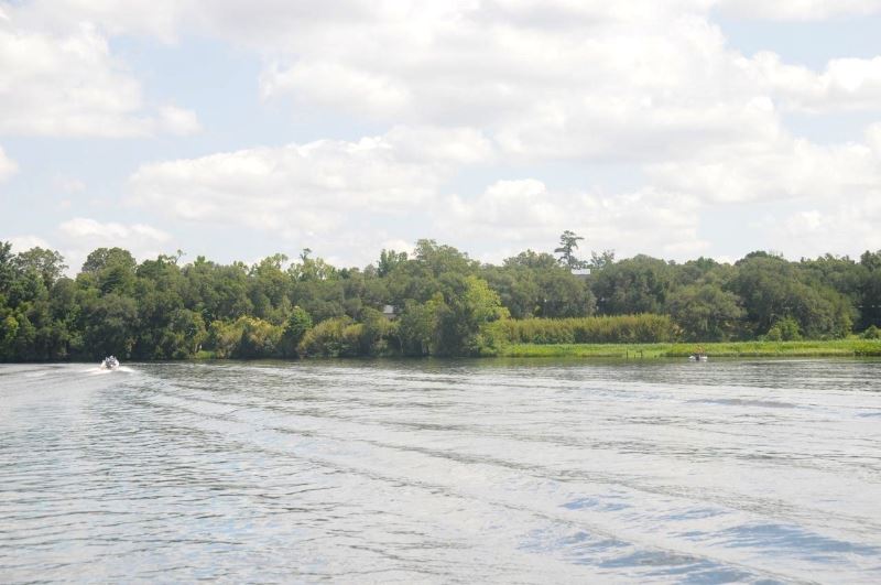 Locations Hub - Cooper River - Pimlico to Mepkin Abbey