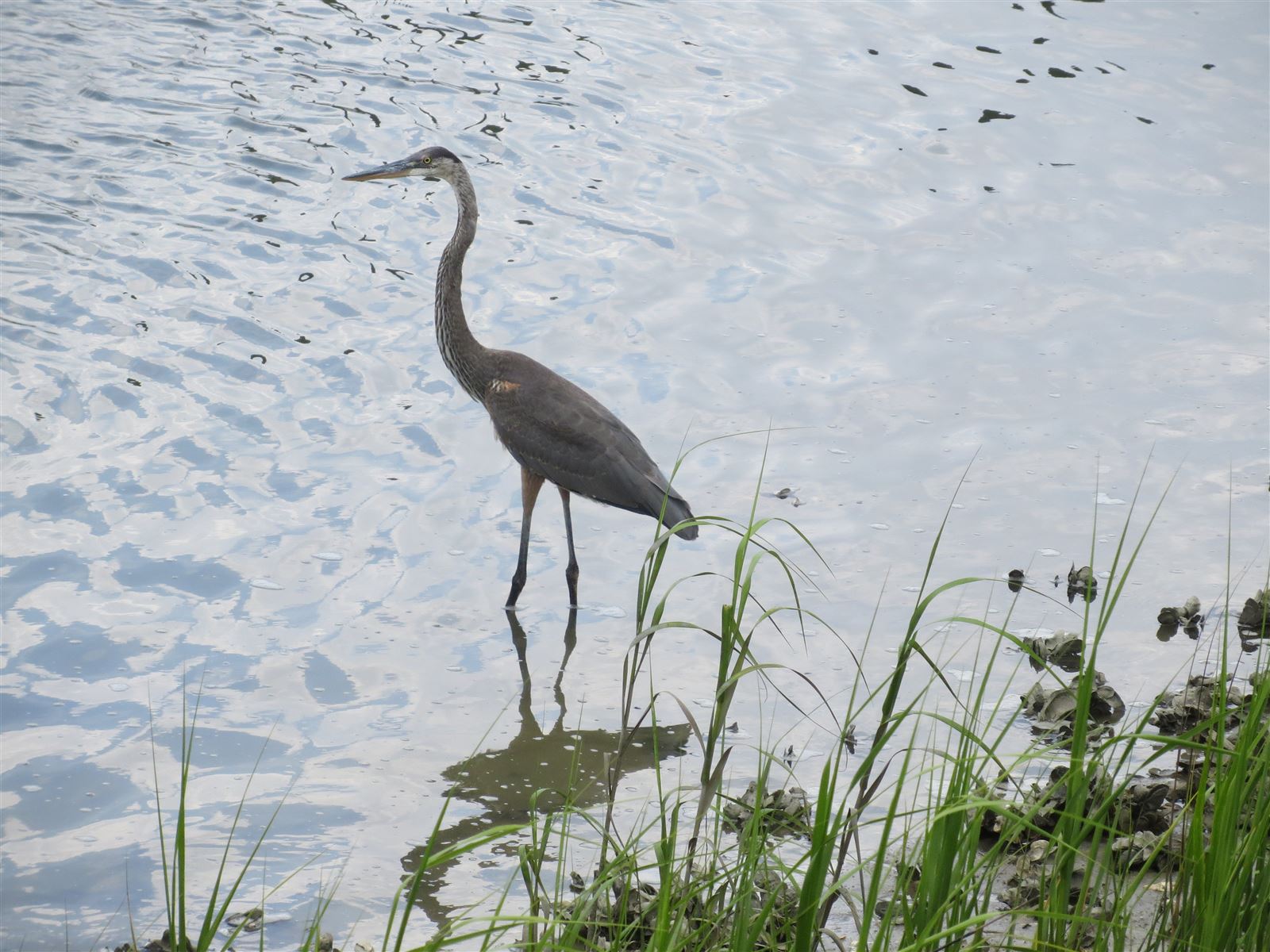 Locations Hub - Pritchard House - Overview