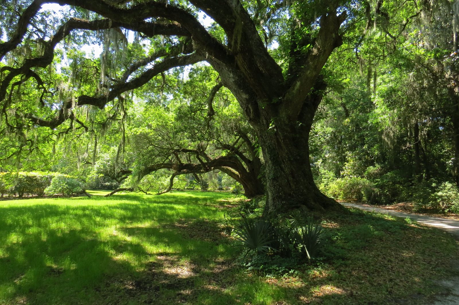 Locations Hub - Magnolia Plantation & Gardens MAY LOOKS - Around the ...