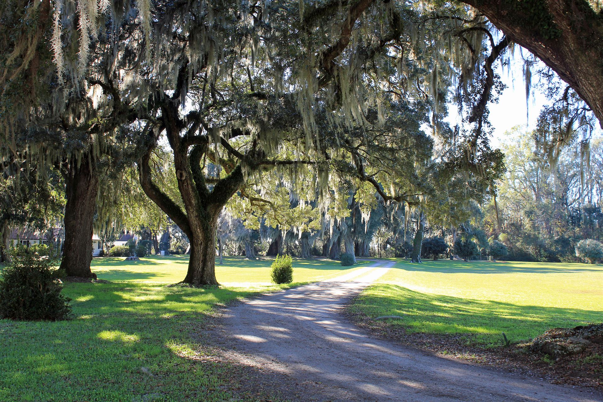 Locations Hub - Laurel Spring Plantation - 2016