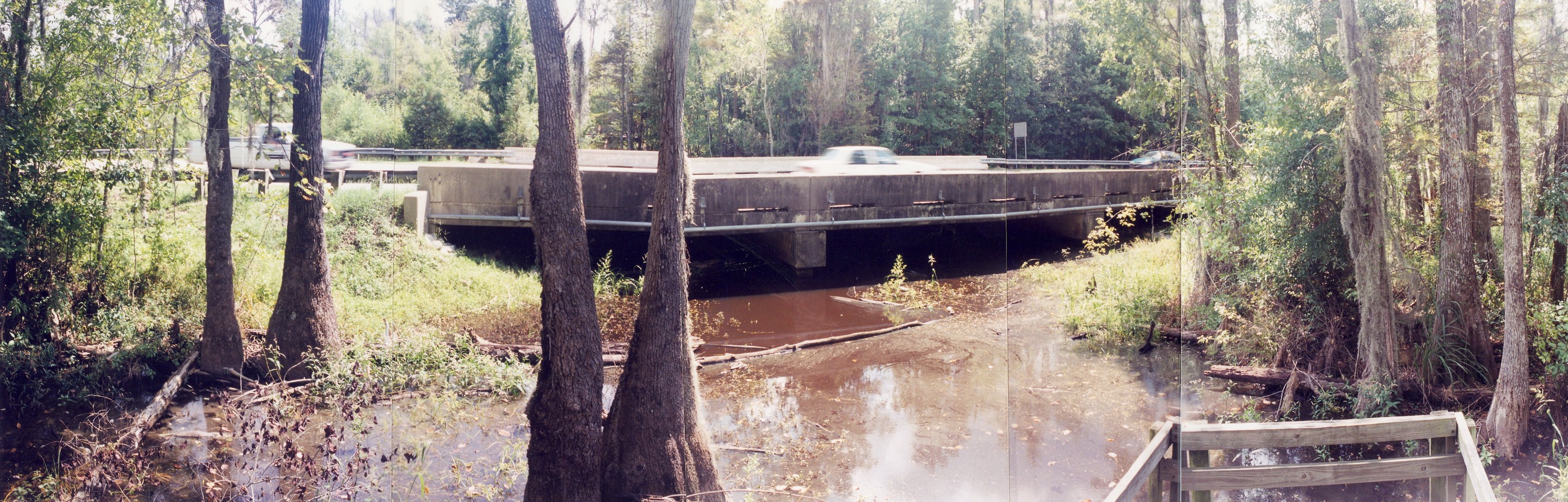 Locations Hub - Pocotaligo Swamp and Nature Walk