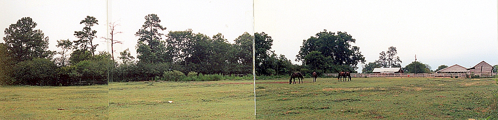 Locations Hub - Singleton Plantation