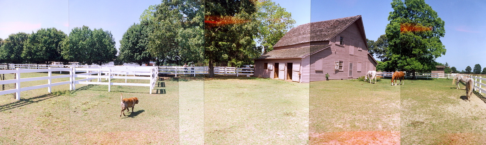 Locations Hub - Whitehaven Plantation
