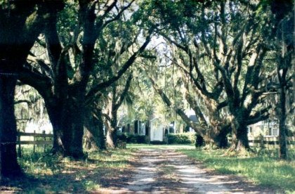 Coosaw Plantation - LocationsHub