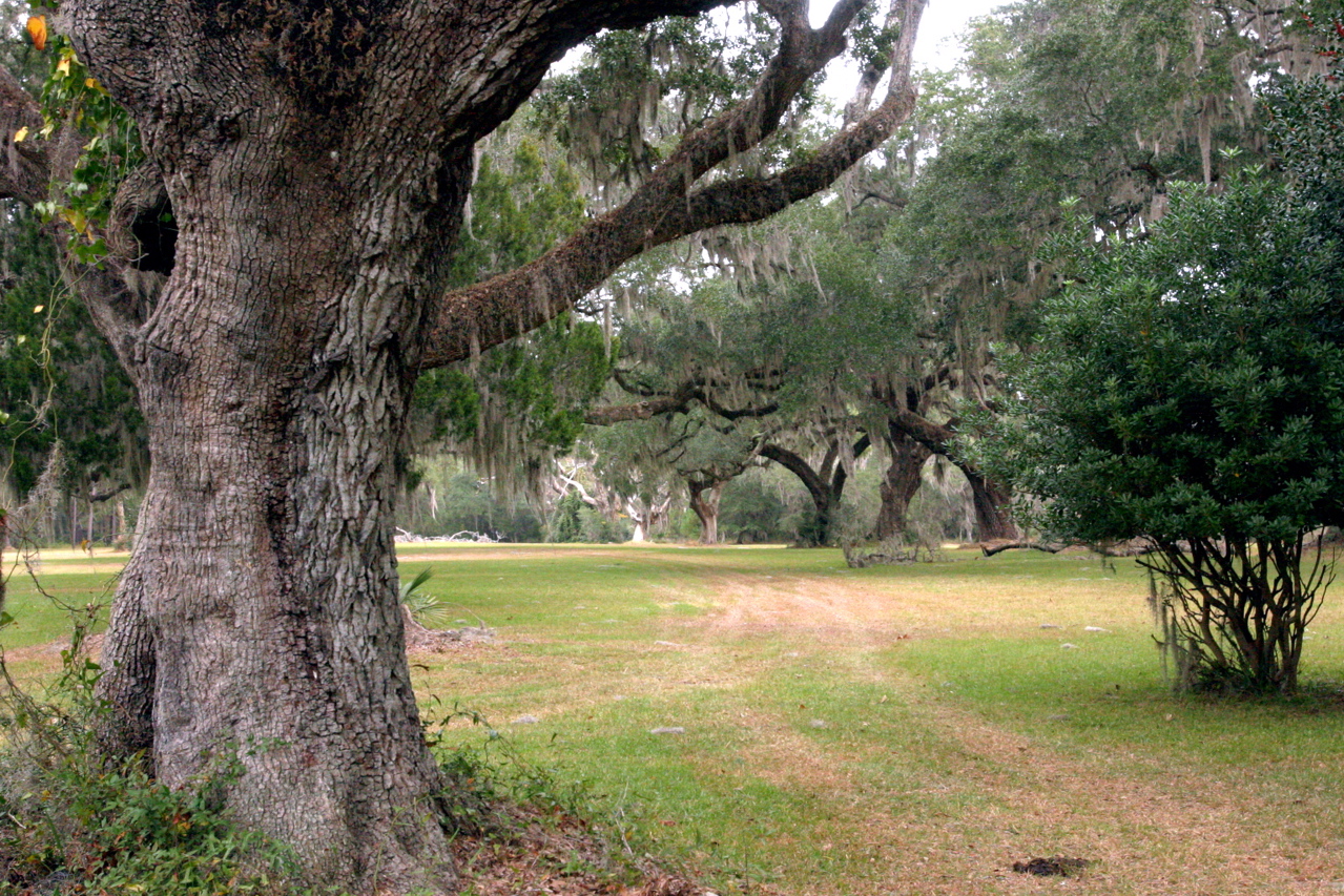 Locations Hub - Slann Island Plantation