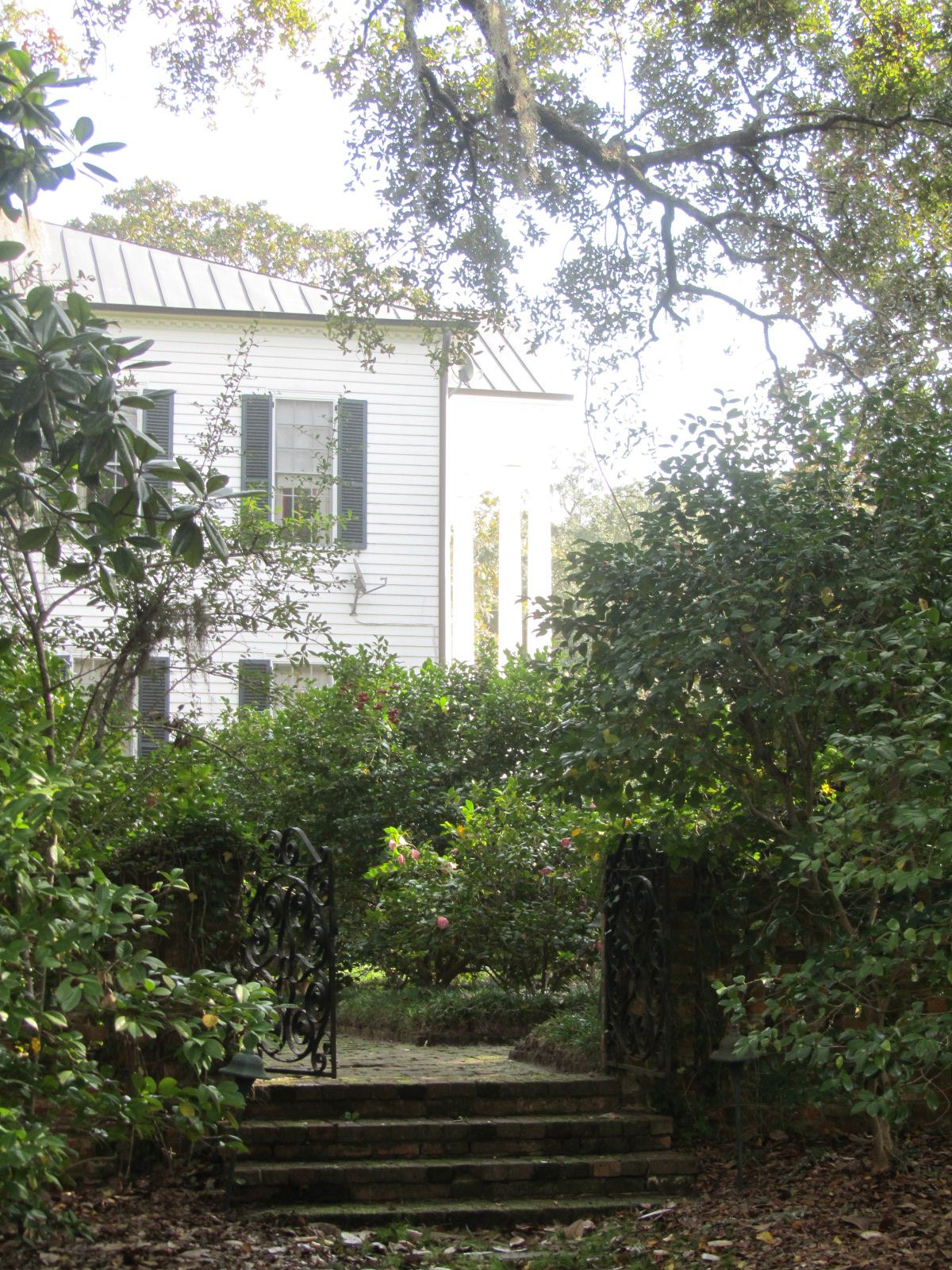 Locations Hub - Friendfield Plantation - Exteriors & near House