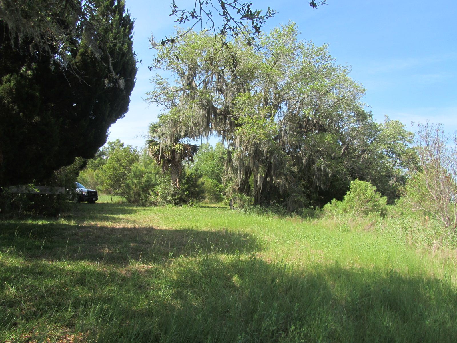 Locations Hub - Awendaw Future Park Site - Clearings