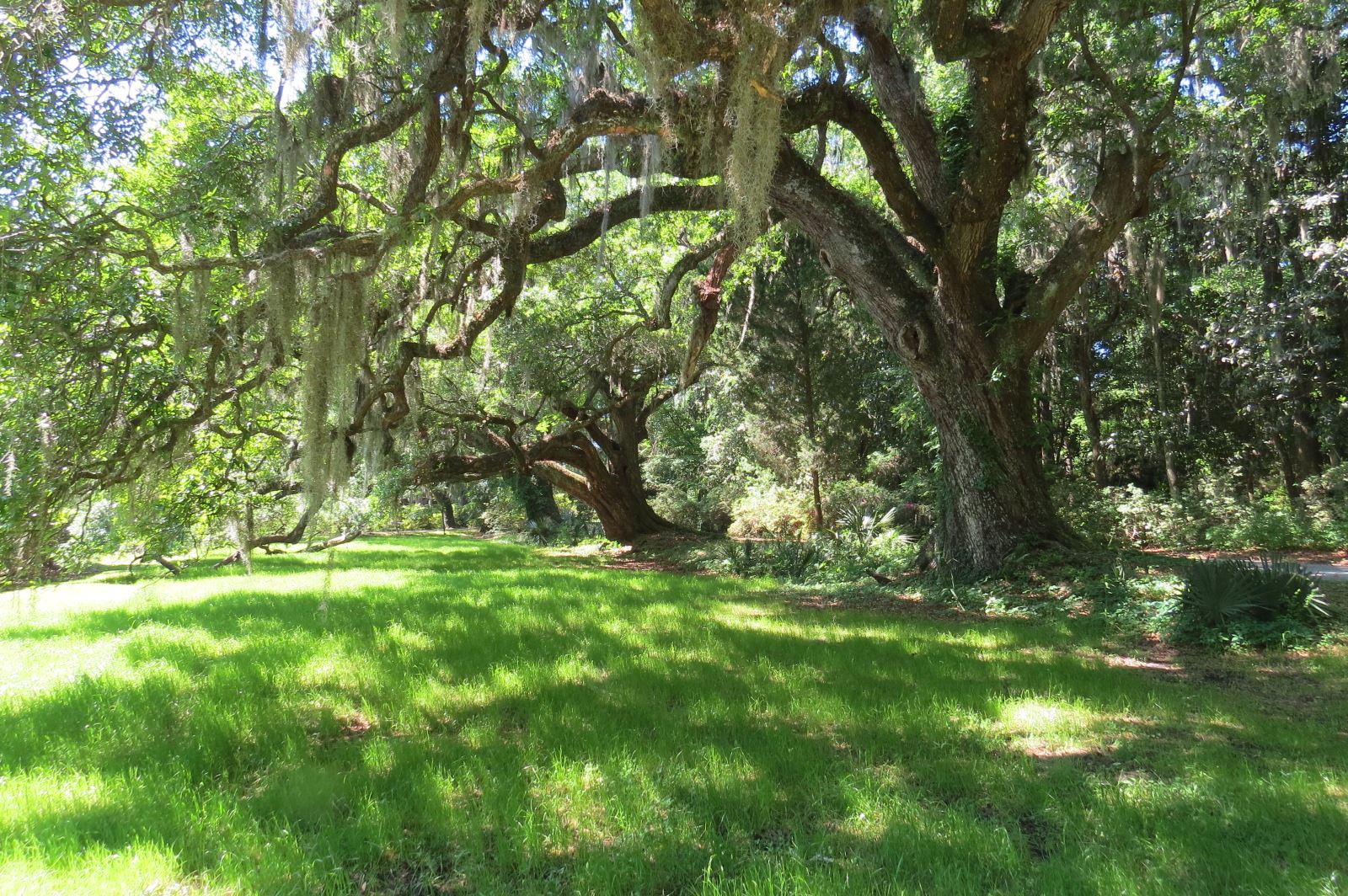 Locations Hub - Magnolia Plantation & Gardens MAY LOOKS - Around the ...