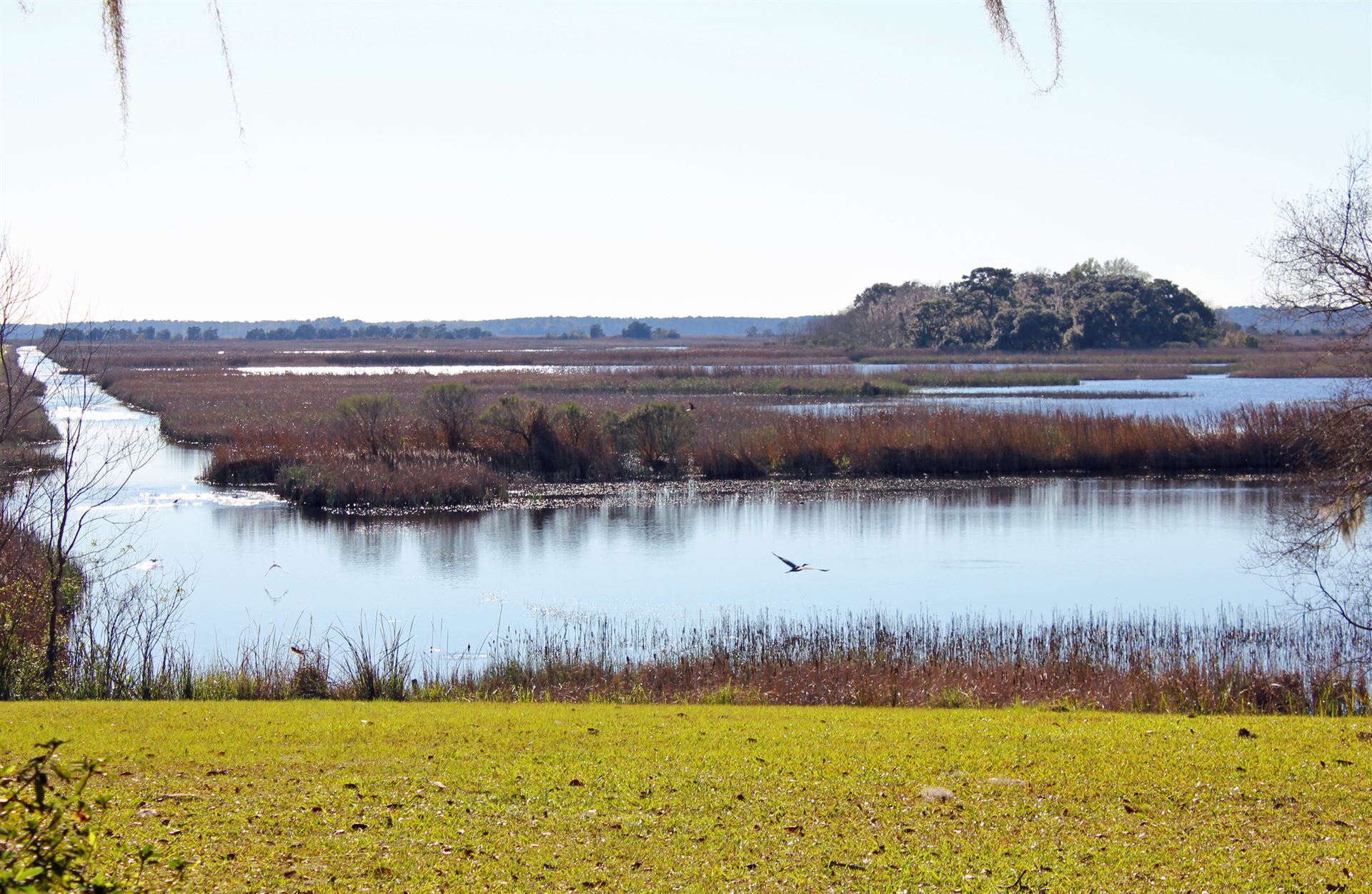 Locations Hub - Laurel Spring Plantation - 2016