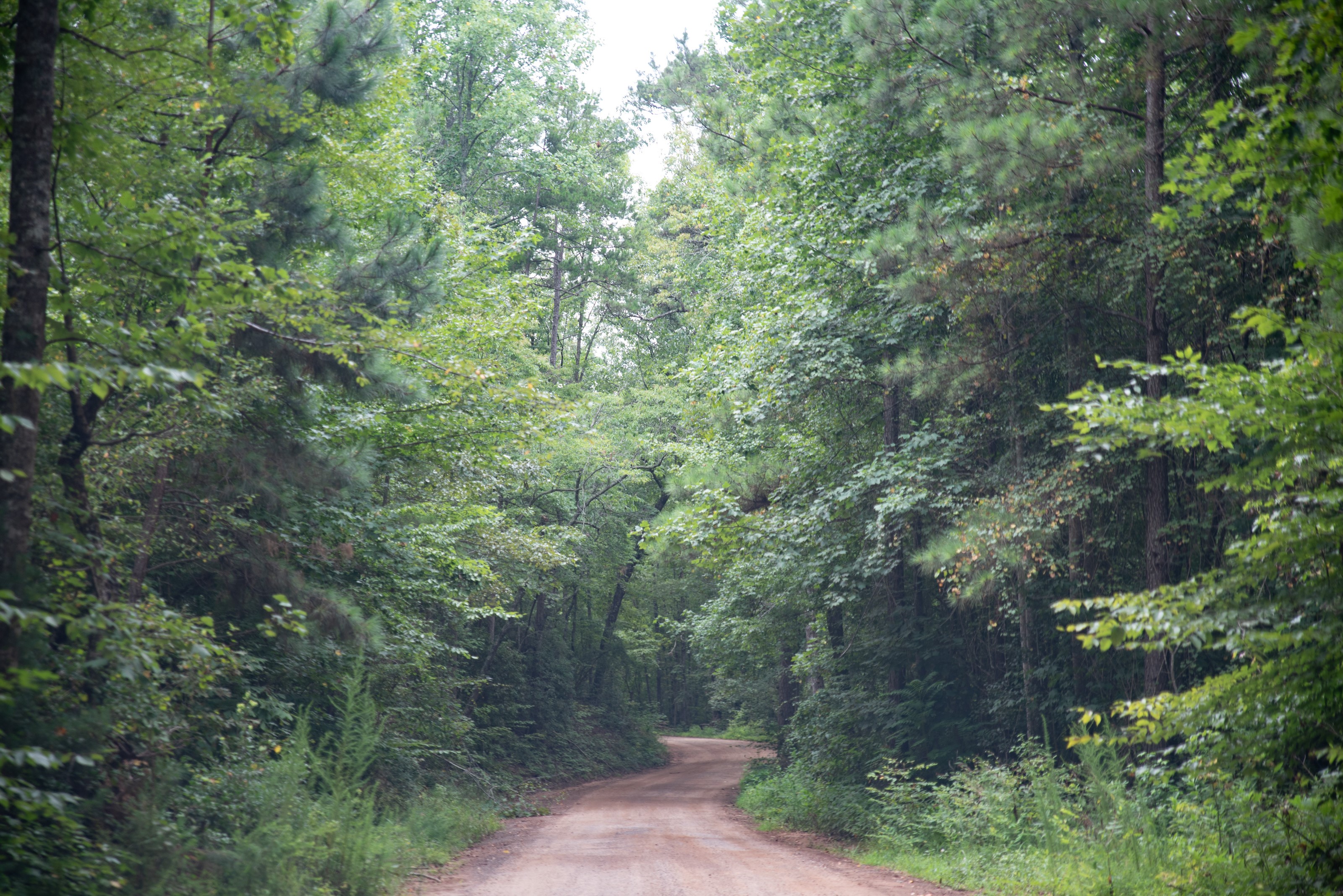 Locations Hub - Lake Issaqueena Dam