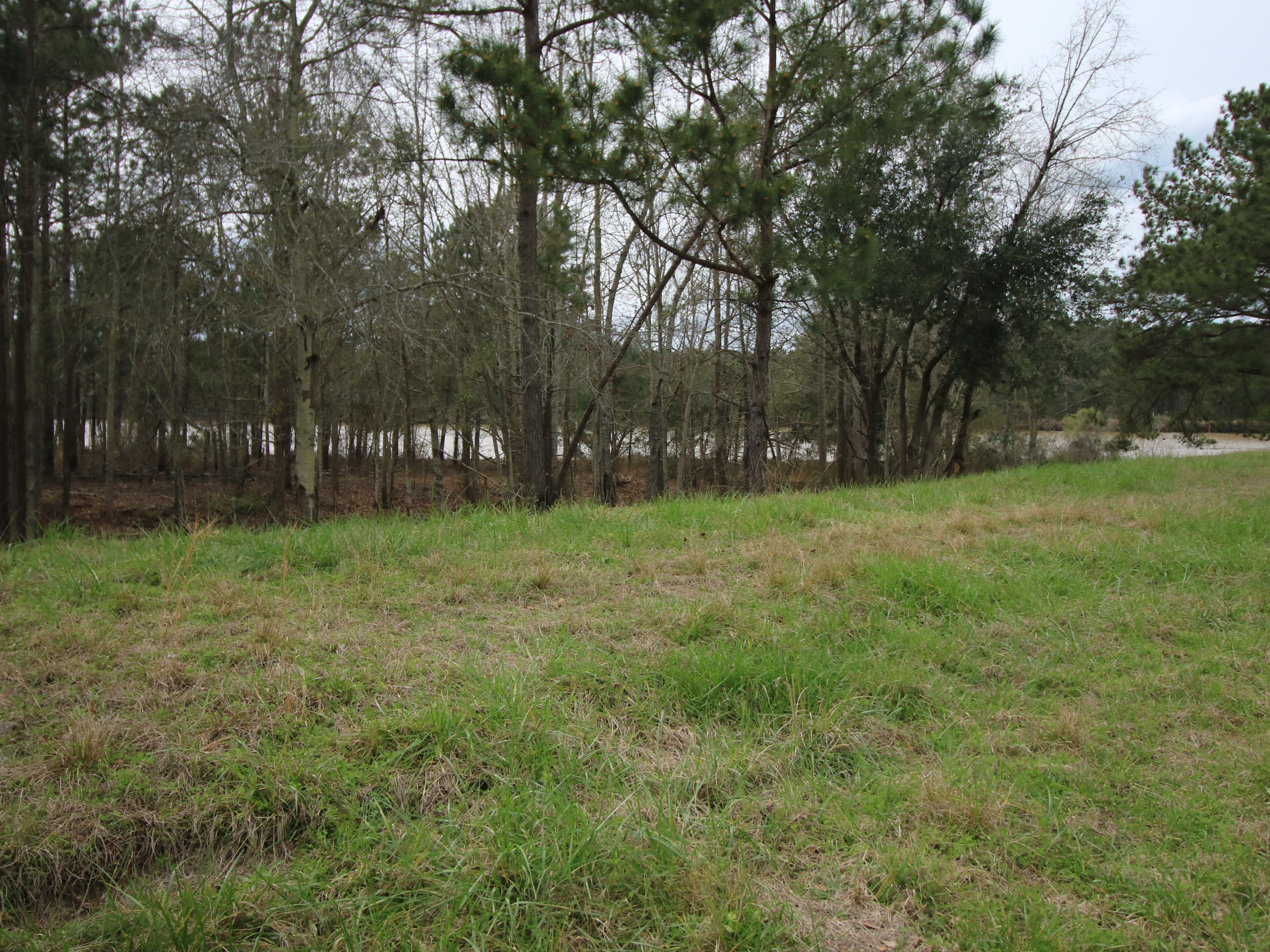 Locations Hub - Santee Cooper - Russellville Landing Dykes