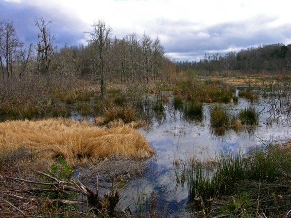 Locations Hub - Donnelley Wildlife Management Area