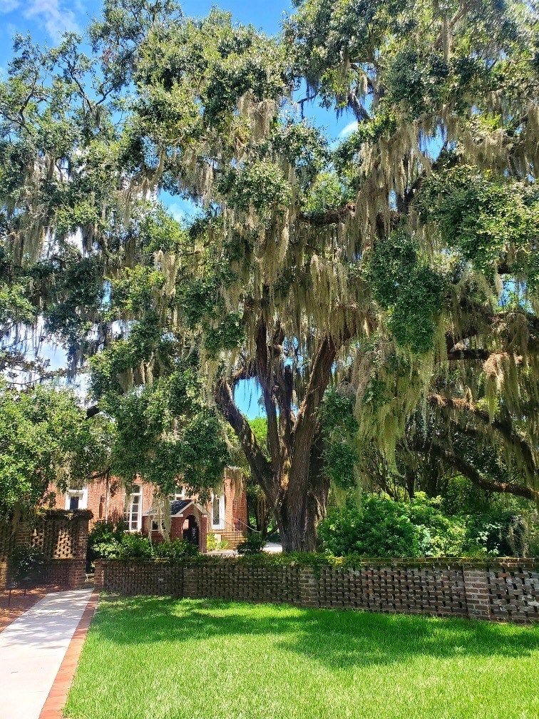 Locations Hub - Wedgefield Country Club