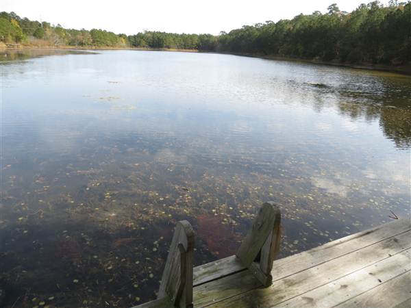 Locations Hub - Lake House at Bulow - The Island