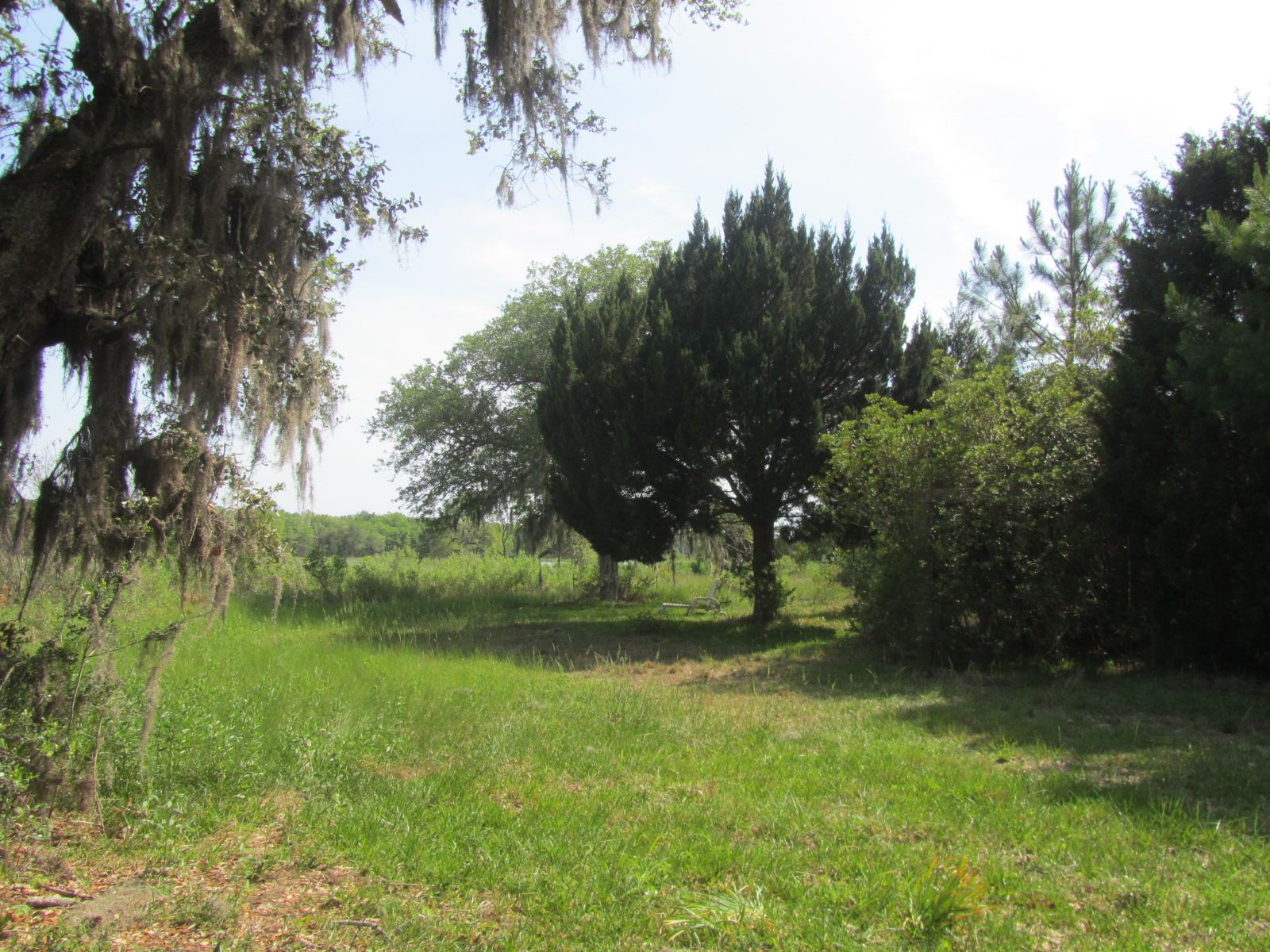 Locations Hub - Awendaw Future Park Site - Clearings